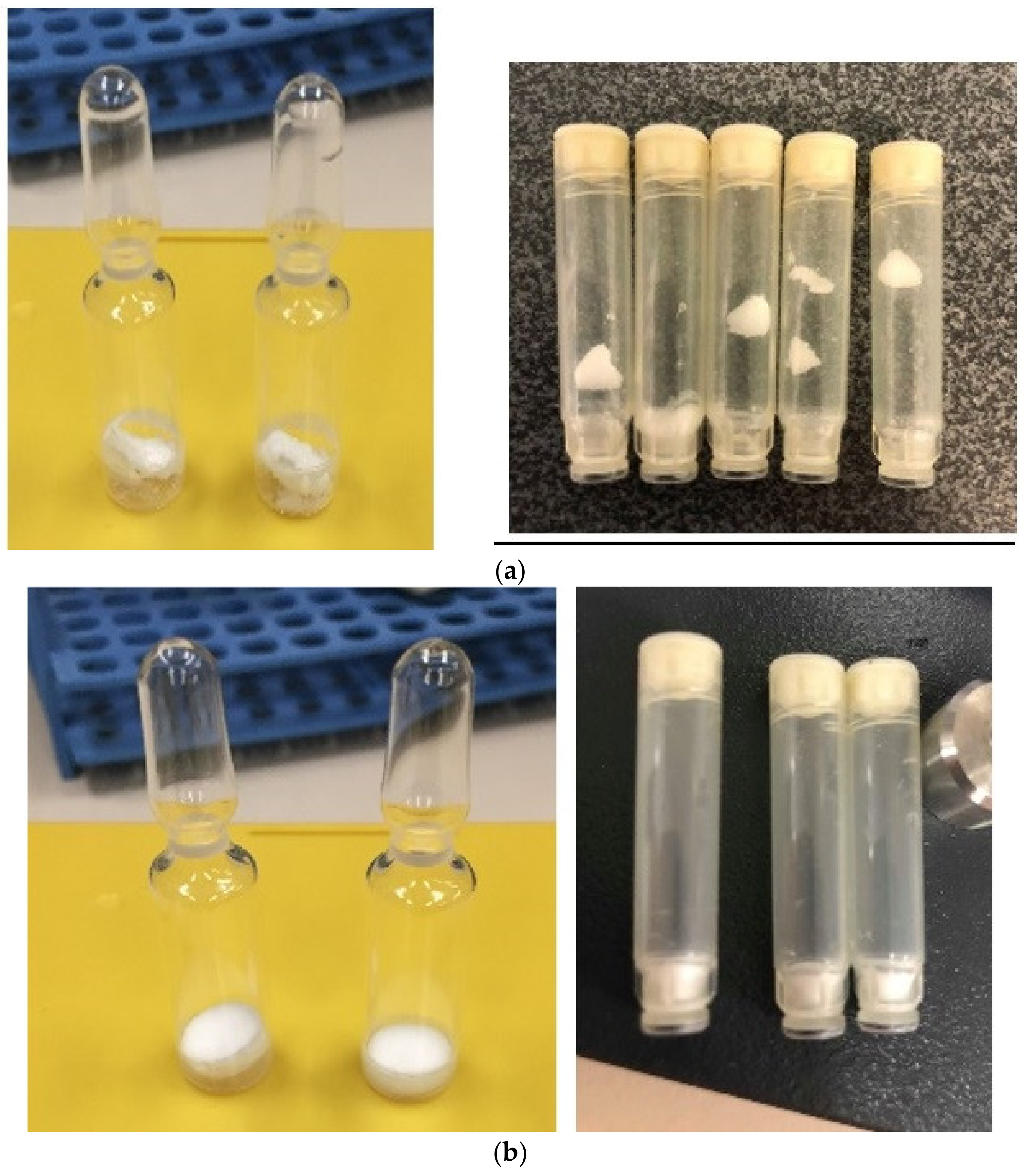 Investigating Alternative Container Formats for Lyophilization of ...