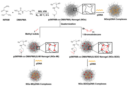 Aliphatic Quaternary Ammonium Functionalized Nanogels for Gene Delivery