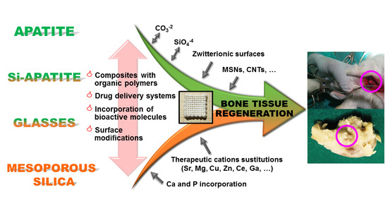 Pharmaceutics | Free Full-Text | Design of 3D Scaffolds for Hard Tissue ...