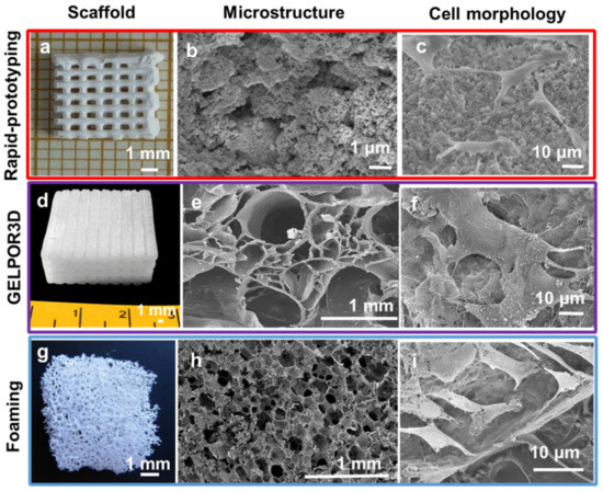 Design of 3D Scaffolds for Hard Tissue Engineering: From Apatites to ...