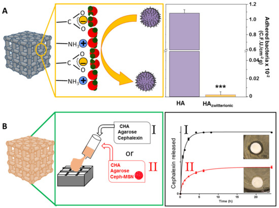 Design of 3D Scaffolds for Hard Tissue Engineering: From Apatites to ...