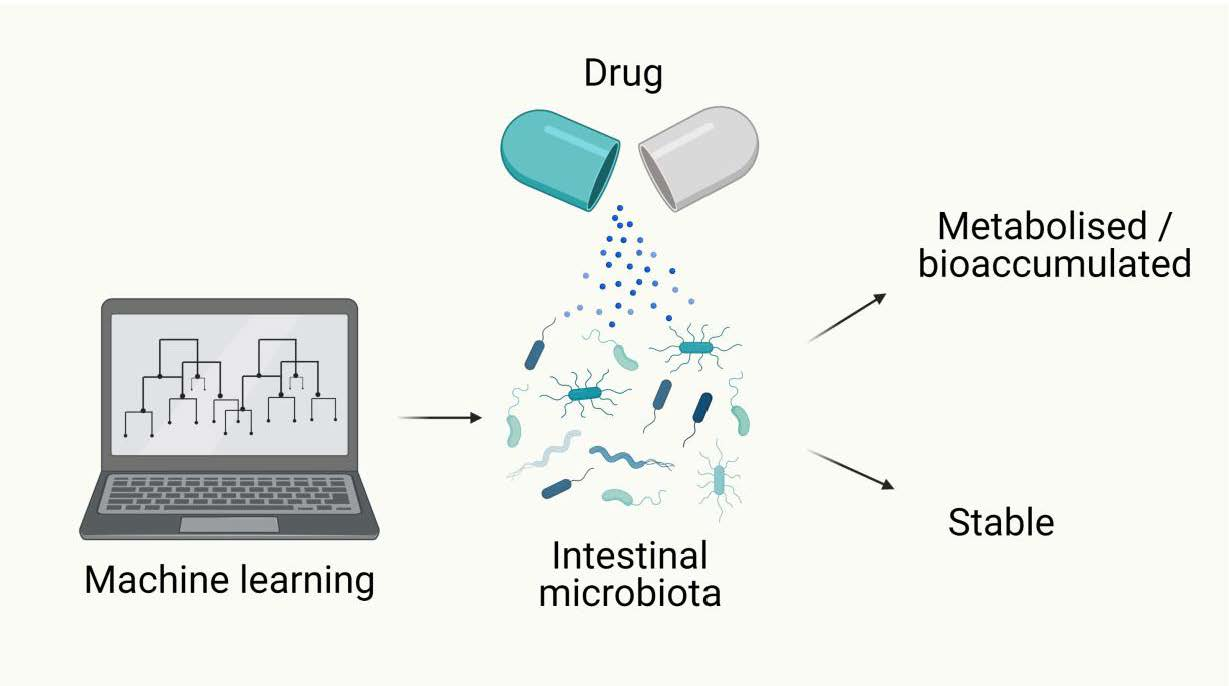 Pharmaceutics | Free Full-Text | Machine Learning Predicts Drug ...