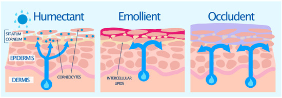 Vehicles for Drug Delivery and Cosmetic Moisturizers: Review and Comparison
