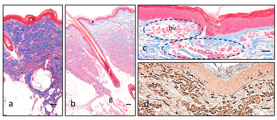 Transdermal Drug Delivery in the Pig Skin