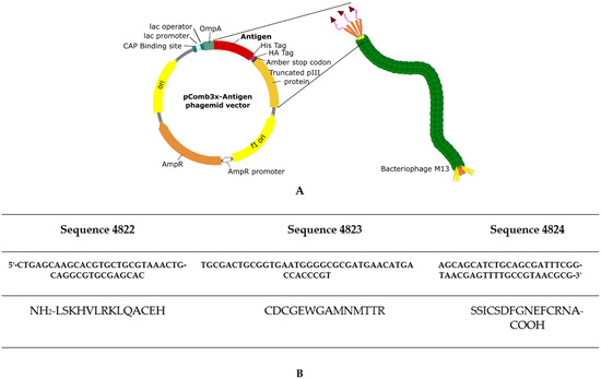 Evaluation of the Immune Response of a Candidate Phage-Based Vaccine ...