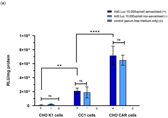 Pharmaceutics | Free Full-Text | The Feasibility of Pressurised ...