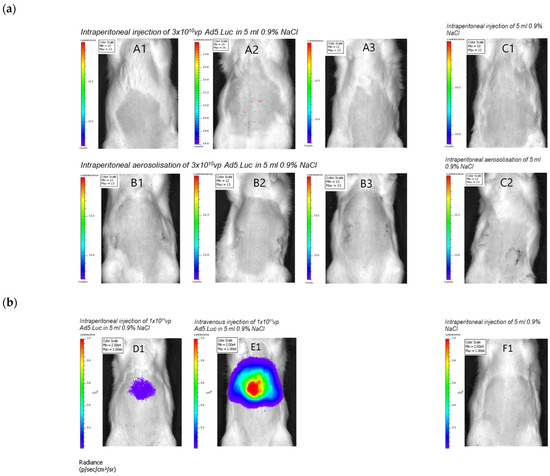 Pharmaceutics | Free Full-Text | The Feasibility of Pressurised ...