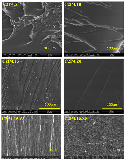 Biocomposite Hydrogels for the Treatment of Bacterial Infections ...