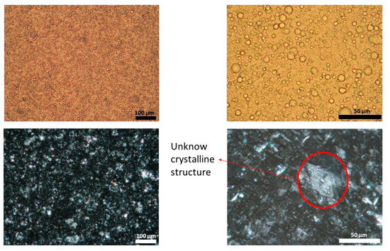 Pilot Equivalence Study Comparing Different Batches of Topical 0.025% ...