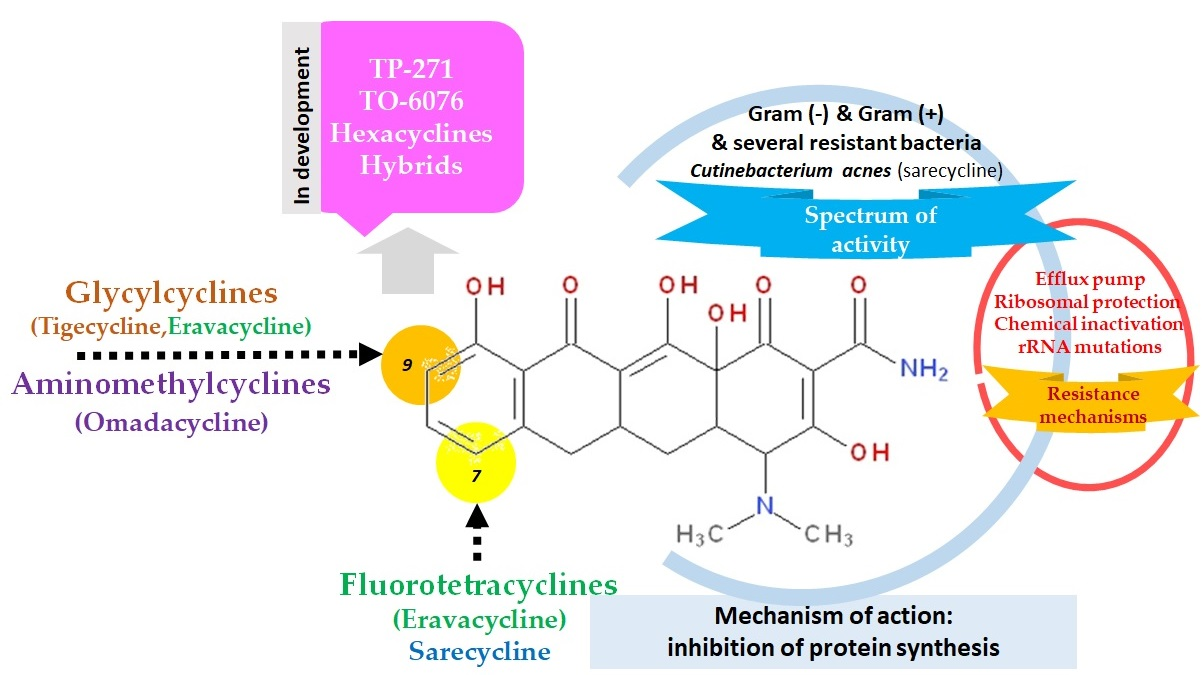 Pharmaceutics | Free Full-Text | The Development of Third-Generation ...