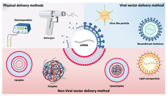 mRNA, a Revolution in Biomedicine