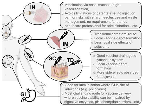 Nanovaccine Delivery Approaches and Advanced Delivery Systems for the ...