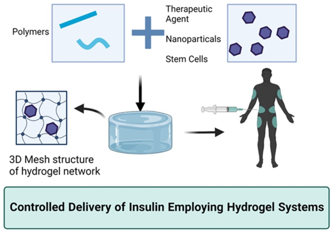 Pharmaceutics | Free Full-Text | Advanced Hydrogels for the Controlled ...