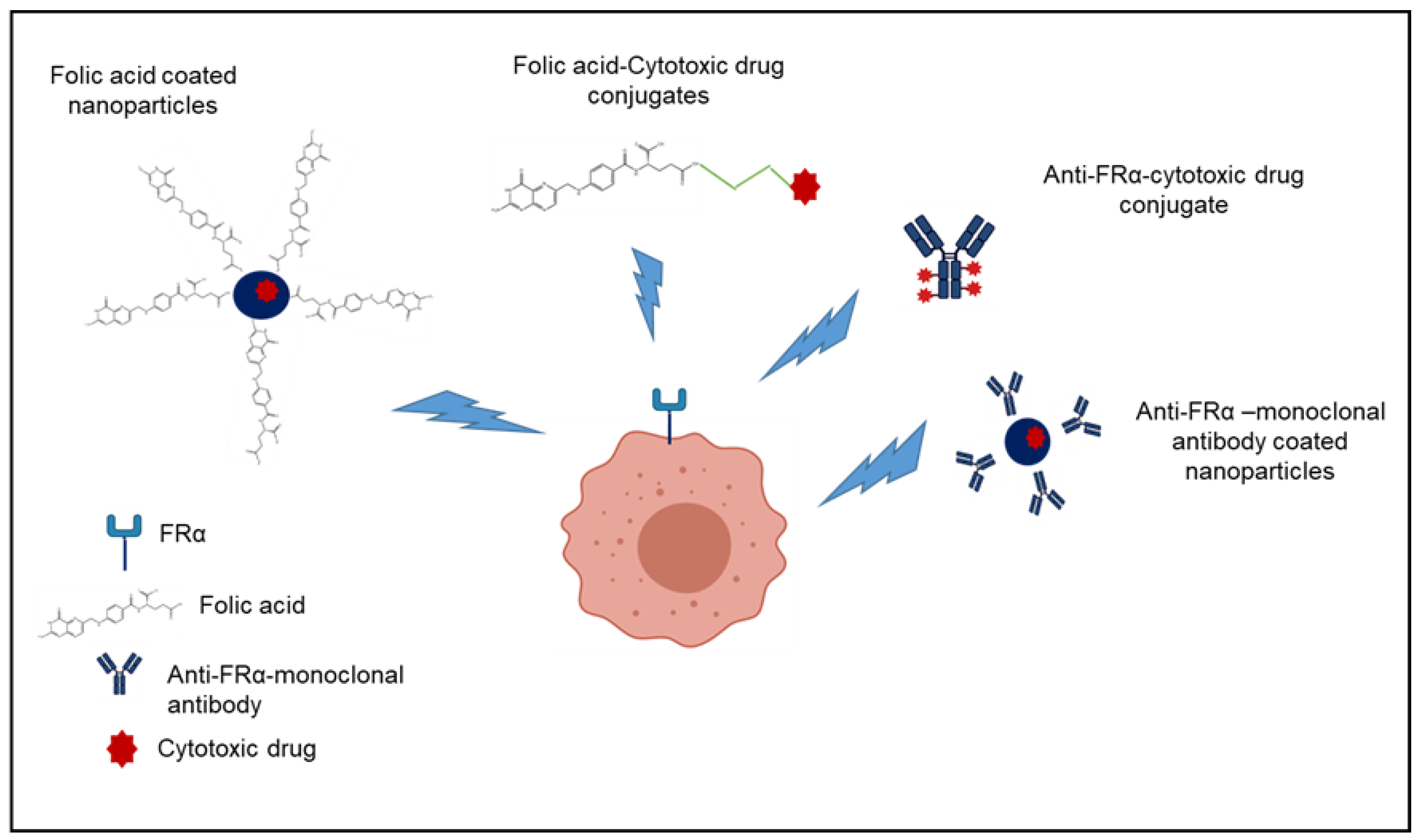 Pharmaceutics | Free Full-Text | Active Targeted Nanoformulations via Folate Receptors: State of ...