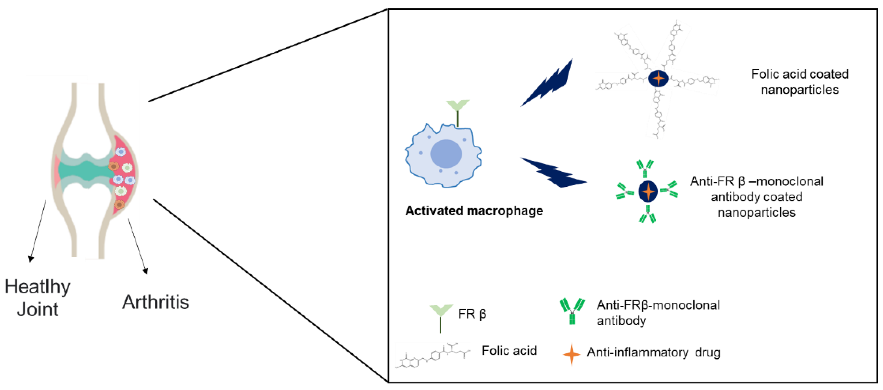 Pharmaceutics | Free Full-Text | Active Targeted Nanoformulations via Folate Receptors: State of ...