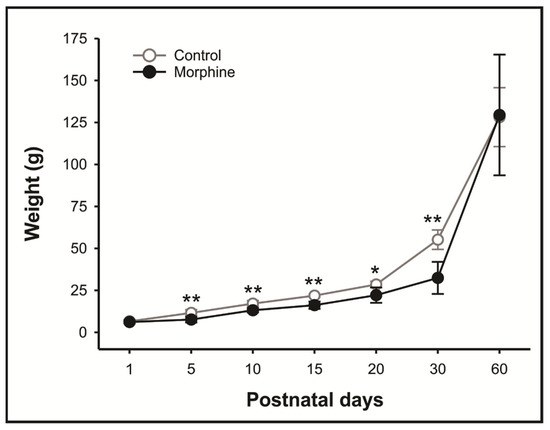 Morphine Perinatal Exposure Induces Long-Lasting Negative Emotional ...