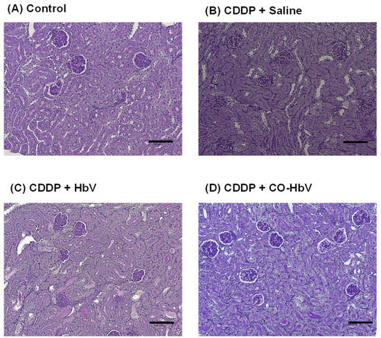 Liposomal Artificial Red Blood Cell-Based Carbon Monoxide Donor Is a ...