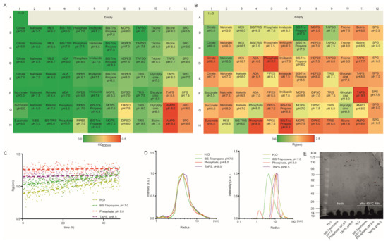 A General Small-Angle X-ray Scattering-Based Screening Protocol for ...
