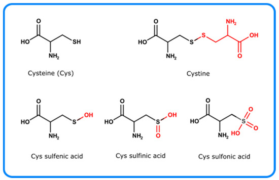 Photo-Oxidation of Therapeutic Protein Formulations: From Radical ...