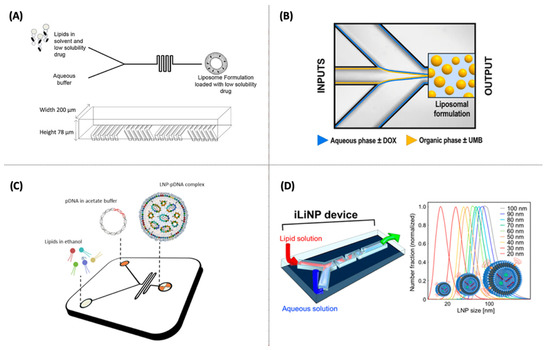 Advanced Microfluidic Technologies for Lipid Nano-Microsystems from ...
