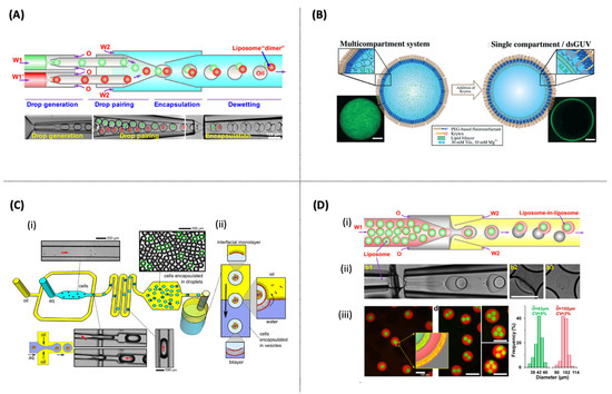 Advanced Microfluidic Technologies for Lipid Nano-Microsystems from ...