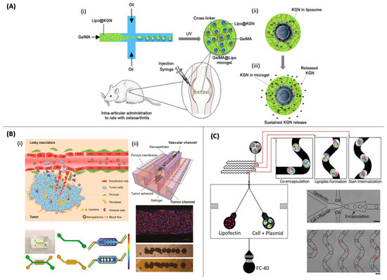 Advanced Microfluidic Technologies for Lipid Nano-Microsystems from ...