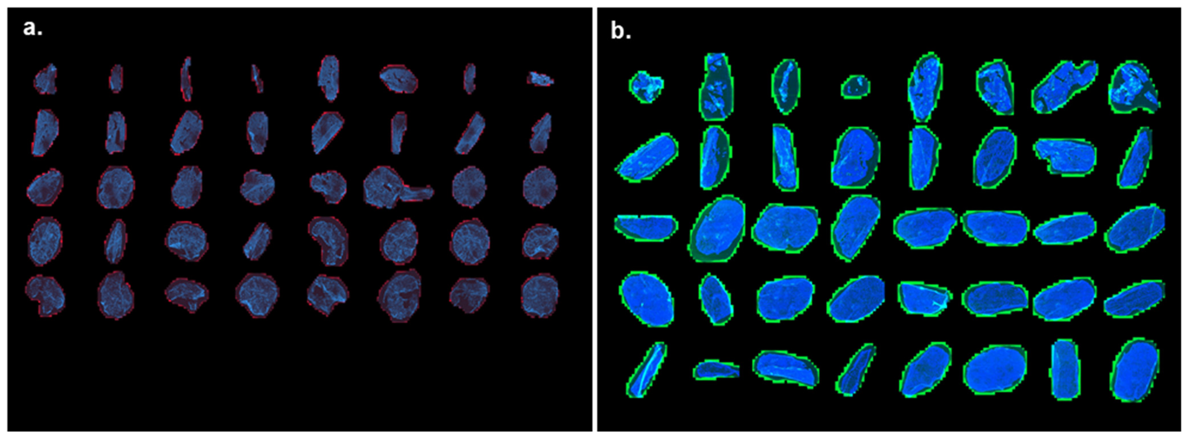 Effect of mRNA Delivery Modality and Formulation on Cutaneous mRNA ...