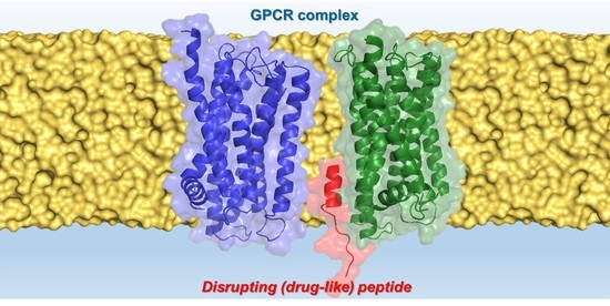 Pharmaceutics | Free Full-Text | Disrupting GPCR Complexes with Smart ...