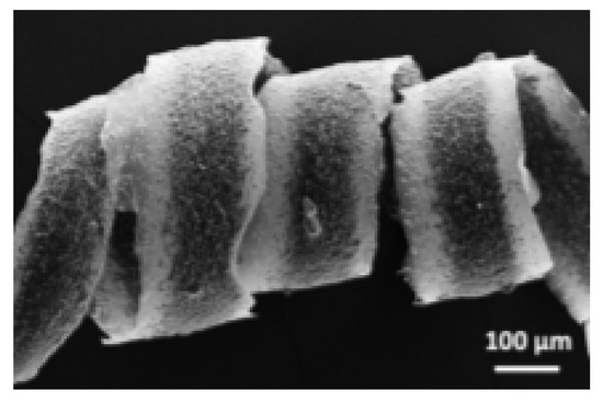 Tunable Spun Fiber Constructs in Biomedicine: Influence of Processing ...