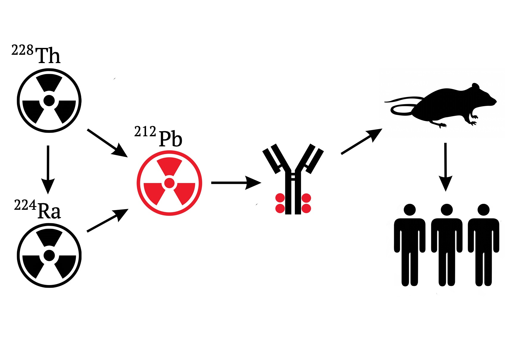 Pharmaceutics | Free Full-Text | 212Pb: Production Approaches and Targeted Therapy Applications