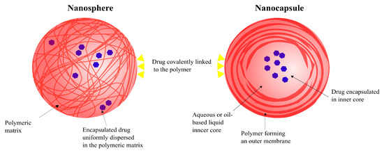 Pharmaceutics | Free Full-Text | An Overview of Nanotechnologies for ...