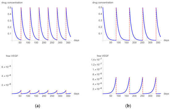 Anti-VEGF Drugs Dynamics: Relevance for Clinical Practice