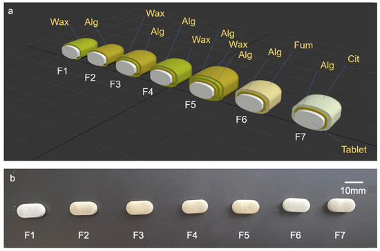 A Novel Multilayer Natural Coating for Fed-State Gastric Protection