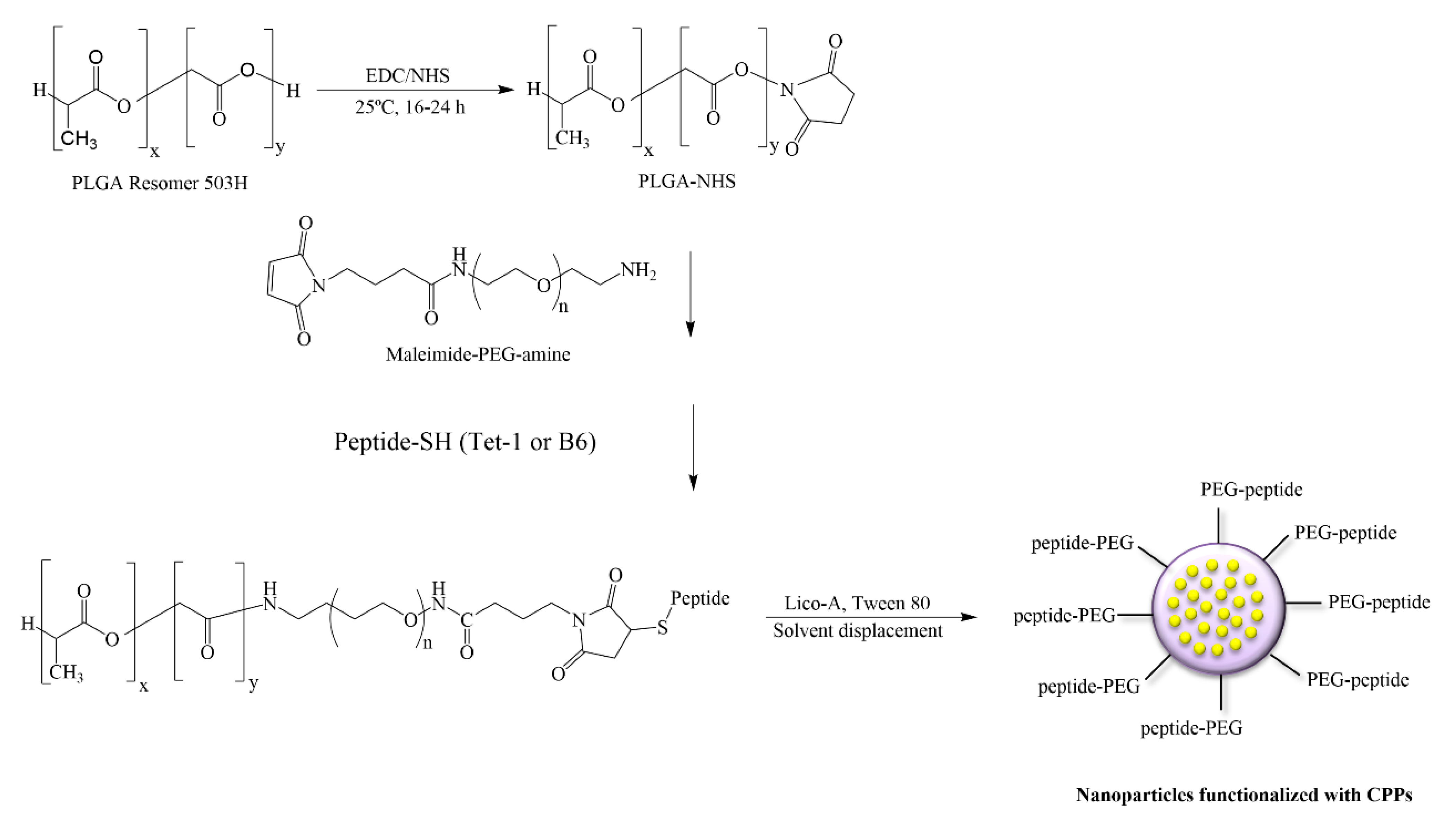 Development of Peptide Targeted PLGA-PEGylated Nanoparticles Loading ...