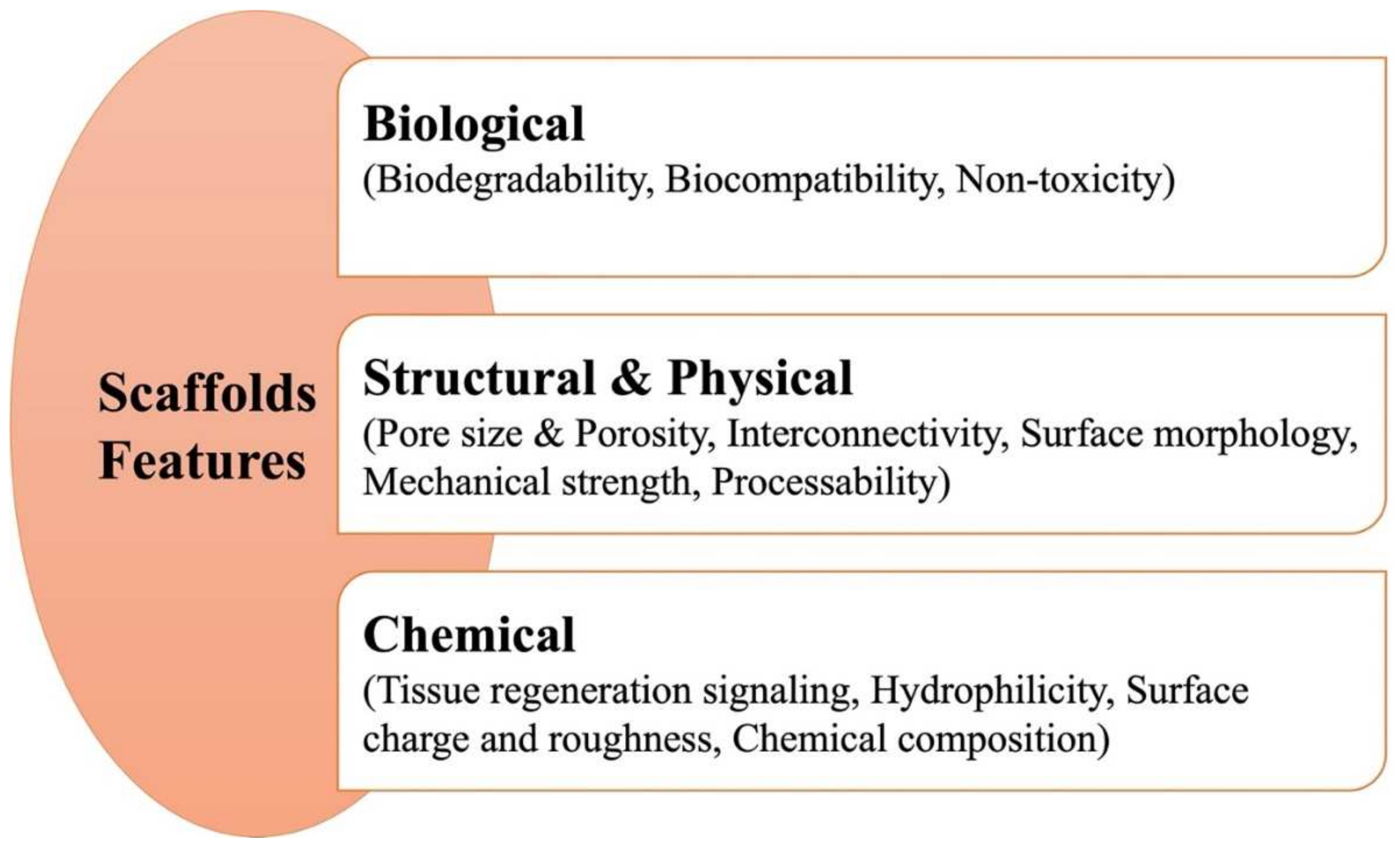 Conventional and Recent Trends of Scaffolds Fabrication: A Superior ...