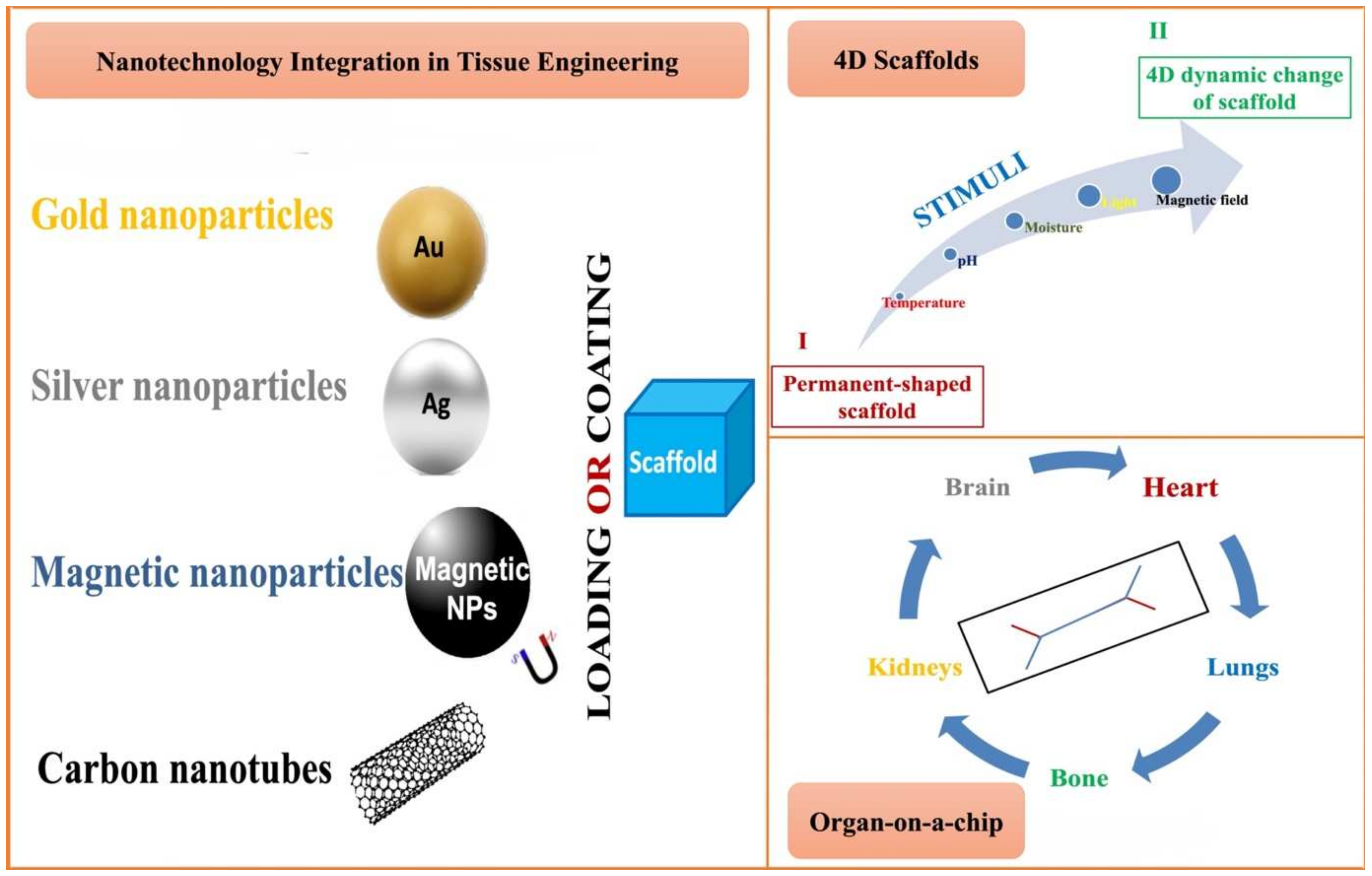 Conventional and Recent Trends of Scaffolds Fabrication: A Superior ...