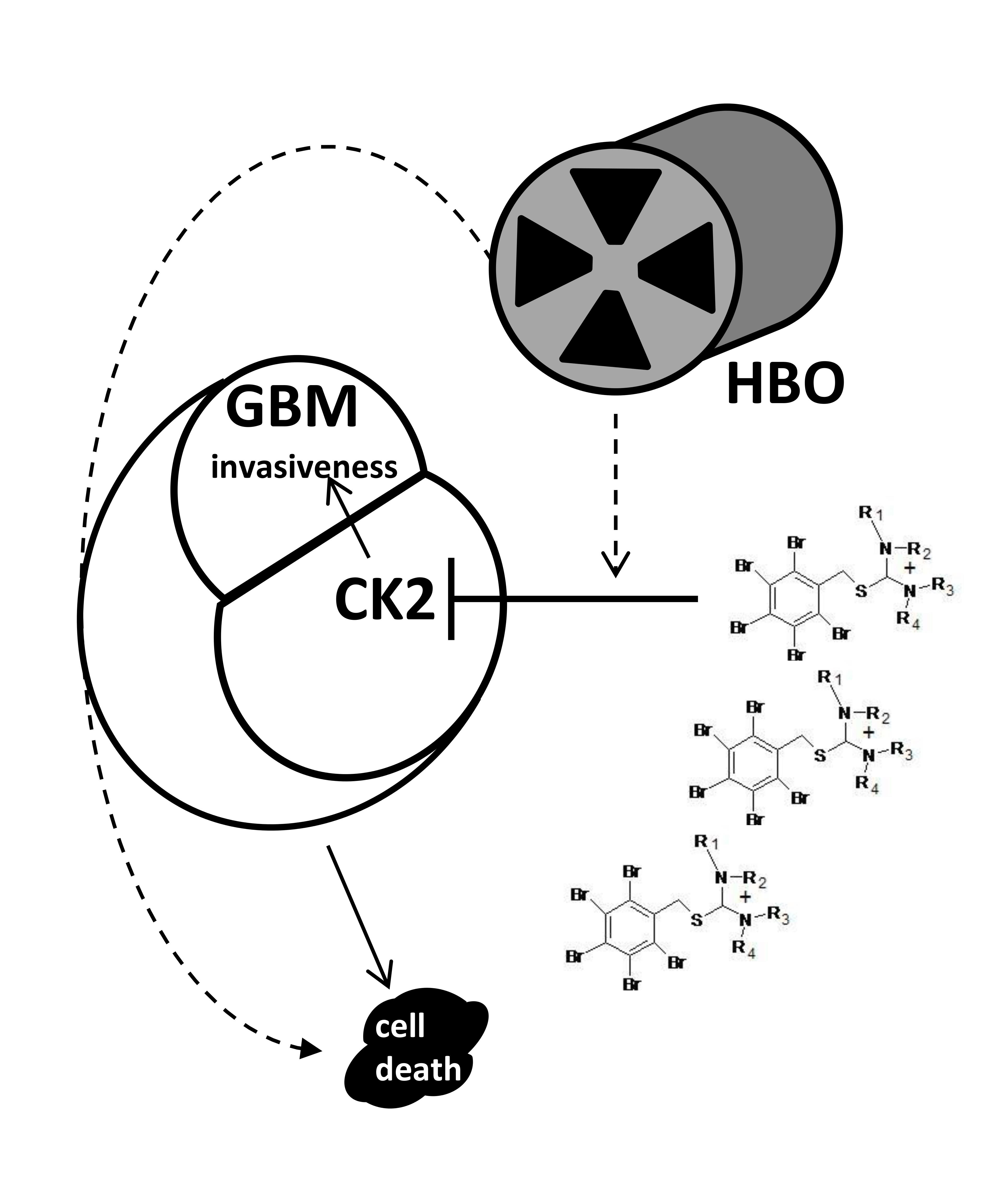 Pharmaceutics | Free Full-Text | Inhibiting CK2 among Promising ...