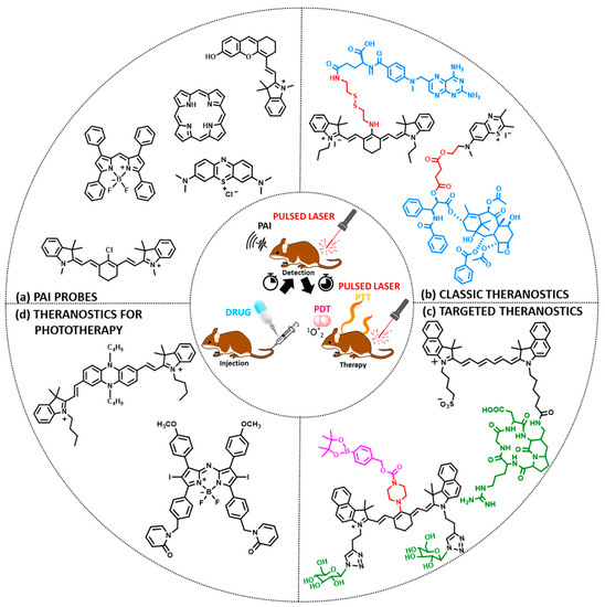Design Principles Governing the Development of Theranostic Anticancer ...