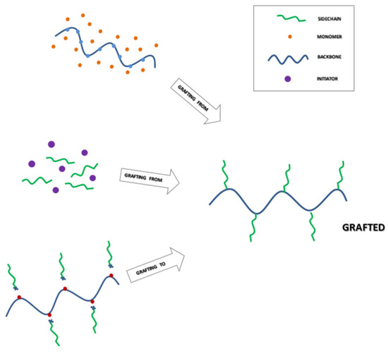 Pharmaceutics | Free Full-Text | Cellulose Amphiphilic Materials ...
