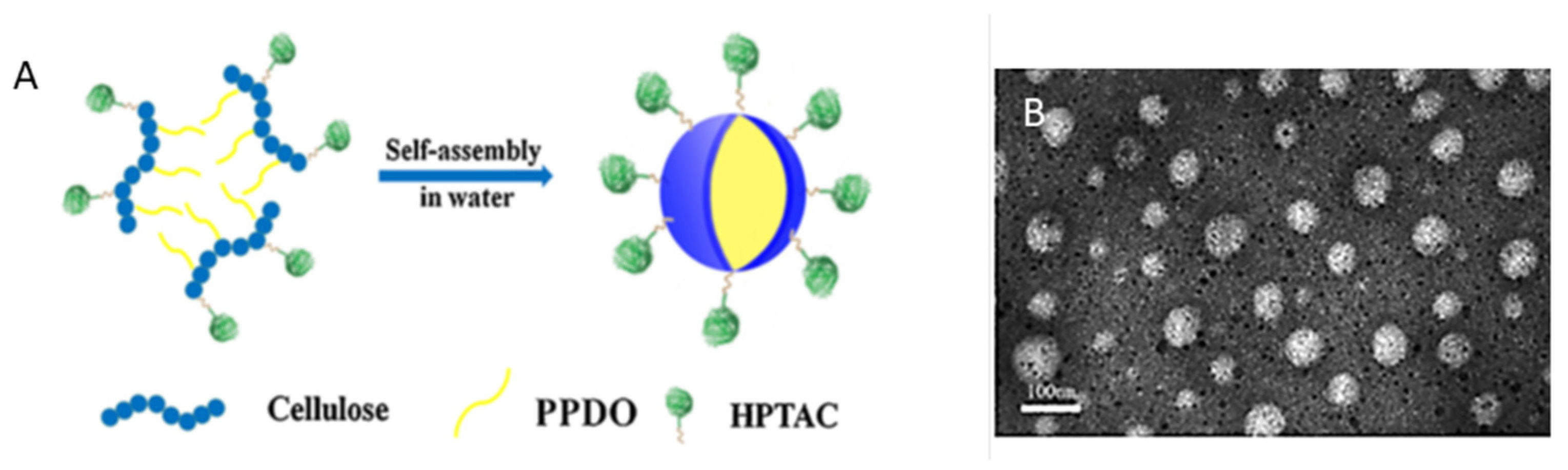 Cellulose Amphiphilic Materials: Chemistry, Process and Applications