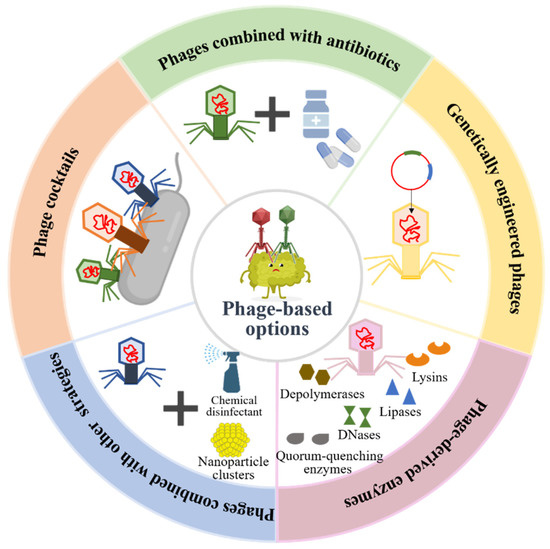 Phages against Pathogenic Bacterial Biofilms and Biofilm-Based ...
