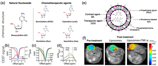 Molecular Imaging of Brain Tumors and Drug Delivery Using CEST MRI ...