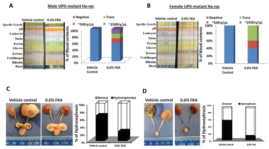 Chemoprevention of Urothelial Cell Carcinoma Tumorigenesis by Dietary ...