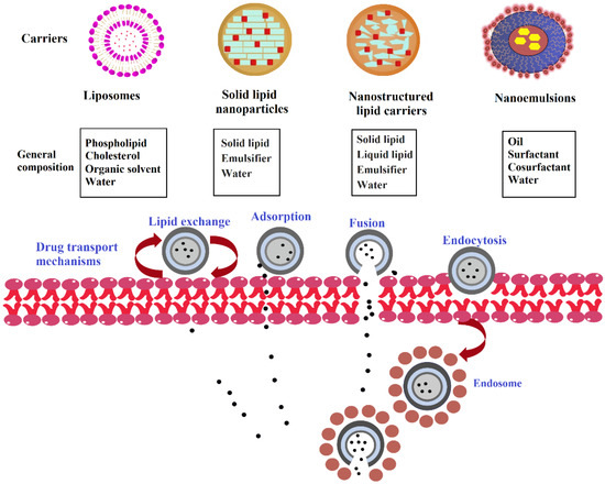 Lipid Nanoparticles as a Promising Drug Delivery Carrier for Topical ...