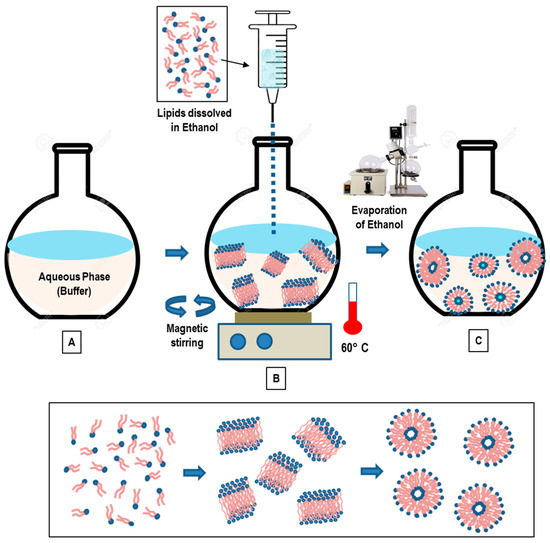 Methods of Liposomes Preparation: Formation and Control Factors of ...