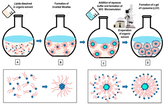 Methods of Liposomes Preparation: Formation and Control Factors of ...