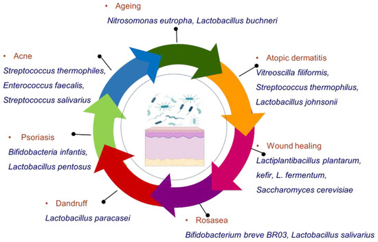Topical Probiotics: More Than a Skin Deep