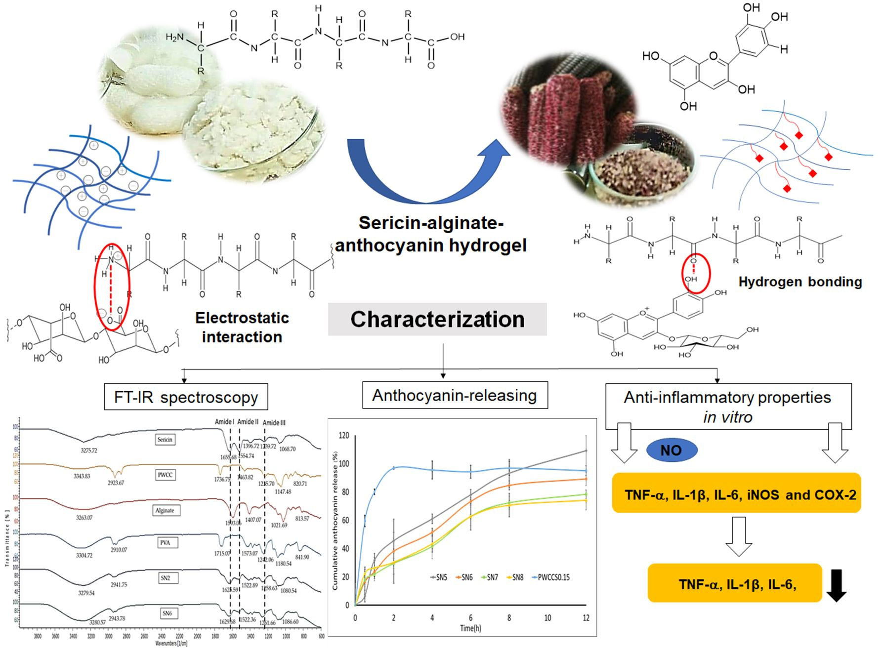 Pharmaceutics | Free Full-Text | Development of a Sericin Hydrogel to Deliver Anthocyanins from ...