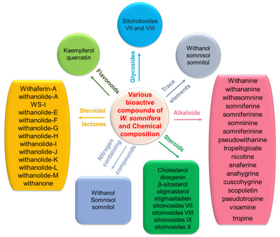 Withania somnifera: Progress towards a Pharmaceutical Agent for ...