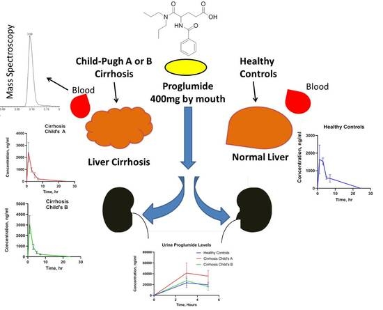 Pharmaceutics | Free Full-Text | Safety and Pharmacokinetic Assessment ...
